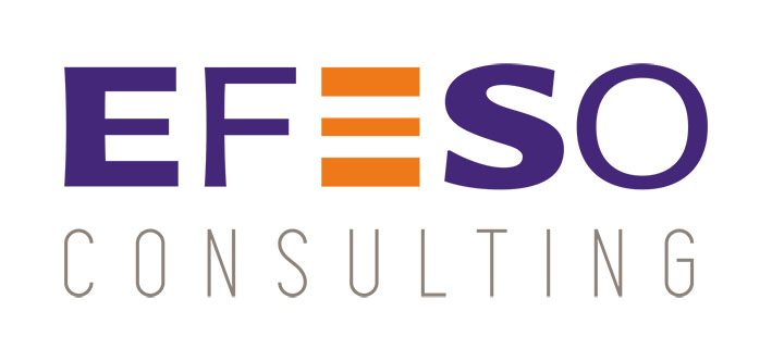 EFESO Consulting - Sponsor Profile