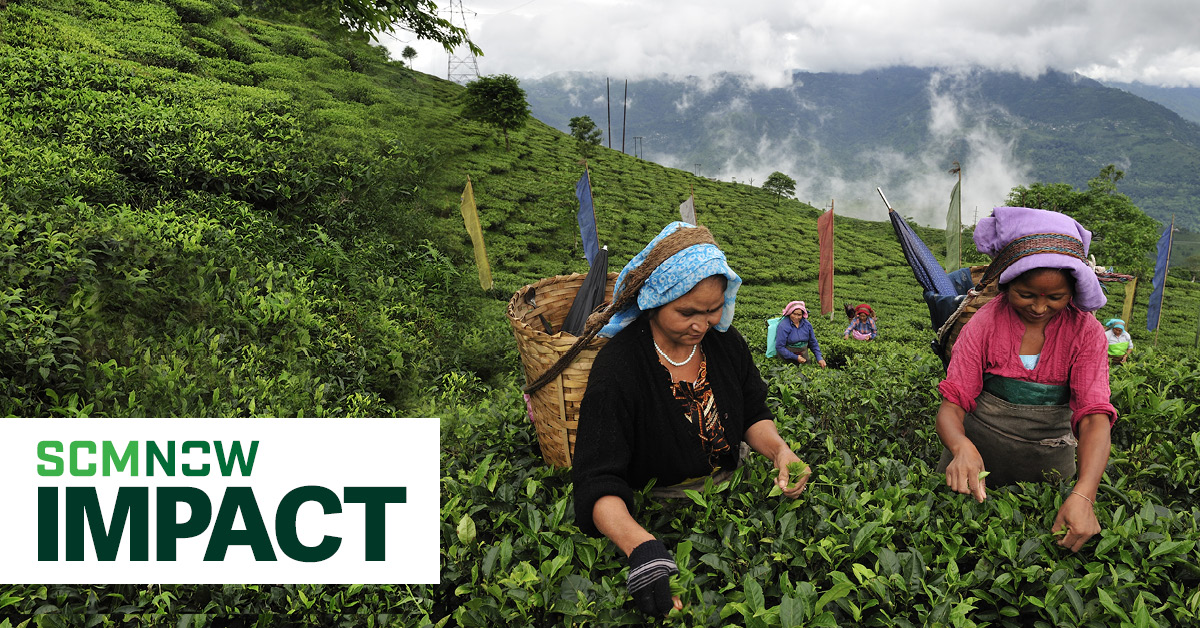 The Business Case for Empowered Women | APICS Blog